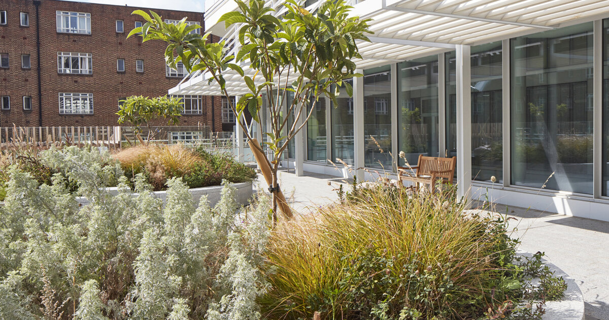 Grafton Way Building wins a British National Landscape Award - Insight ...